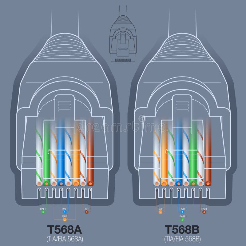 Bedradingsschema Van Netwerkkabelconnector Vector Illustratie ...