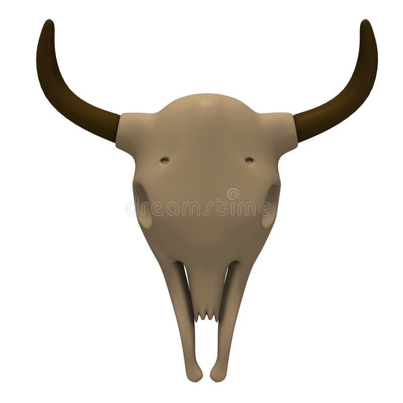 De schedel van de koe stock illustratie. Illustration of been - 10837522