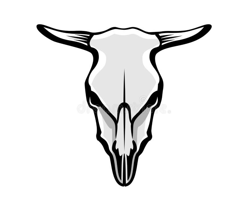 De Schedel van de koe vector illustratie. Illustration of nave - 39327794