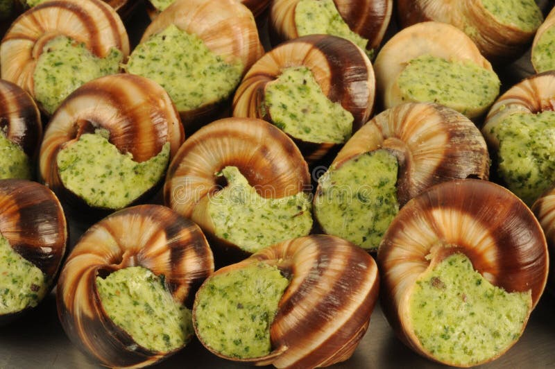 Bourgondische slakken stock afbeelding. Image of knoflook - 18150199