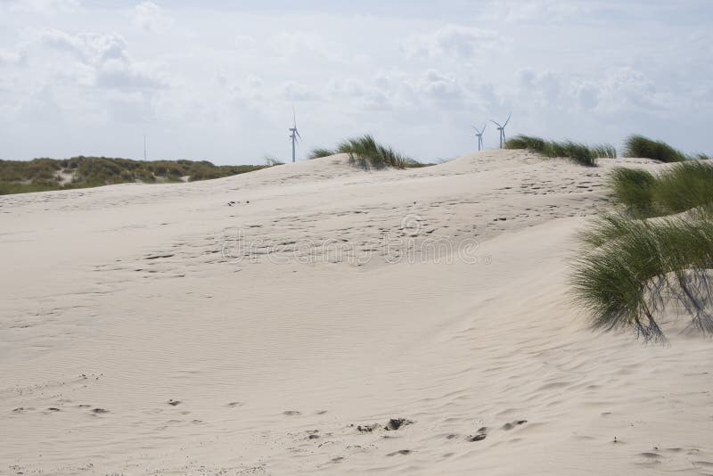 De Slingeringen Van Het Duingras in De Wind Onder Een Blauwe Hemel ...