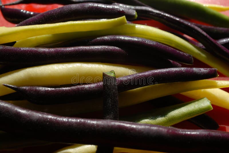 De Snijbonen Van De Snijboon Stock Foto - Image of levensstijlen ...