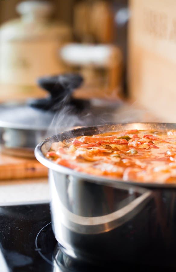 De soep van het vlees stock foto. Image of diner, damp - 23671346