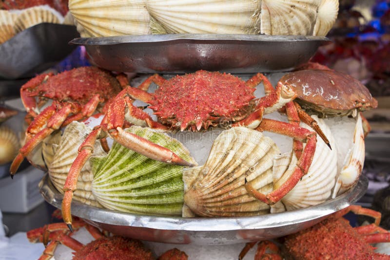De Spinkrab Op Zeevruchtenschotel Stock Afbeelding - Image of schotel ...
