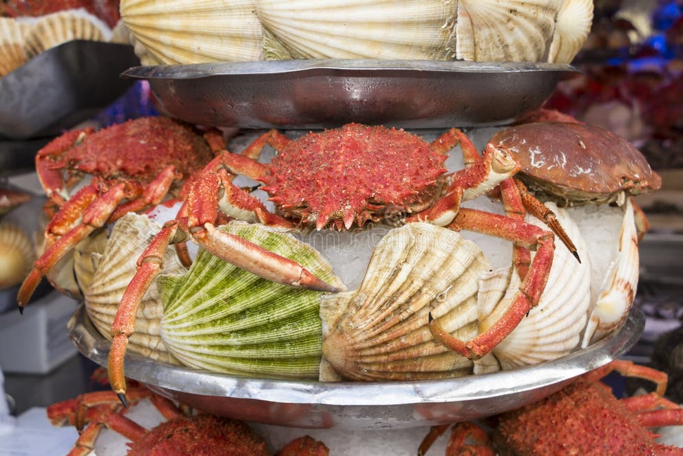 De Spinkrab Op Zeevruchtenschotel Stock Afbeelding - Image of schotel ...