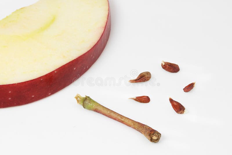 Herfst Detoxwater Met Appel, Kaneel En Rode Peer Stock Foto - Image of ...