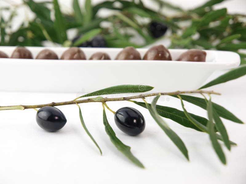 De tak van de olijf stock afbeelding. Image of plantaardig - 17221627