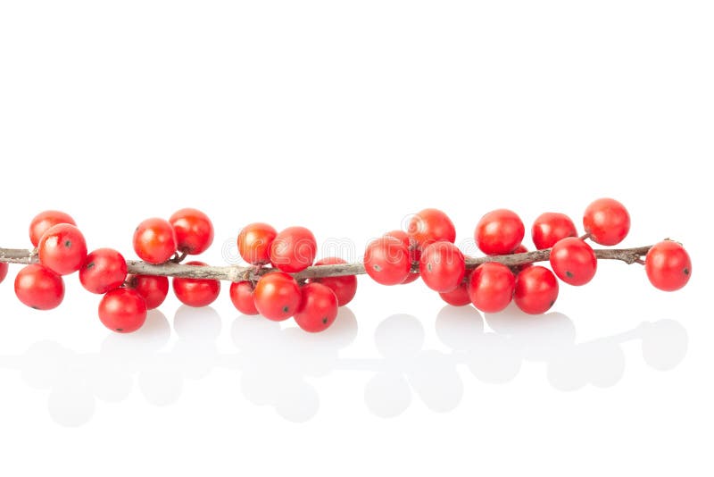 Kersttak met rode bessen stock afbeelding. Image of decoratief - 22685429