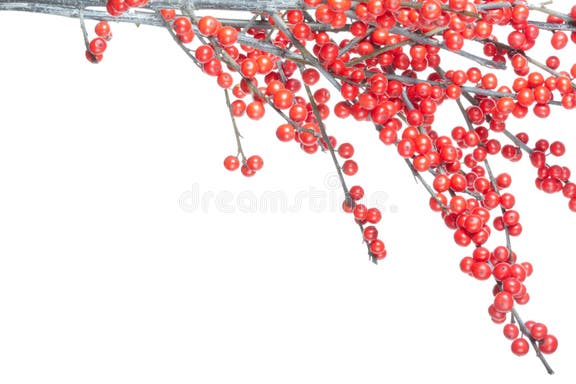 Kersttak met rode bessen stock afbeelding. Image of decoratief - 22685429