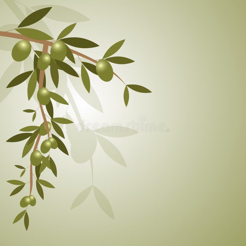 De Takachtergrond Van De Olijf Vector Illustratie - Illustration of ...