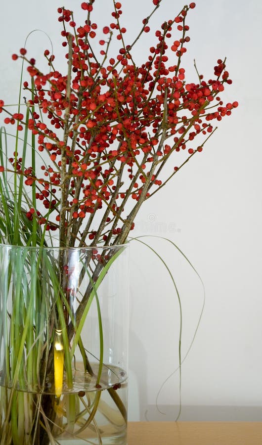 Hulsttakken Met Rode Bessen Stock Afbeelding - Image of decoratie ...