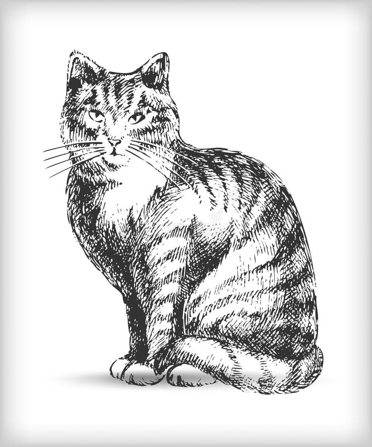 Zwarte Kat Potloodtekening