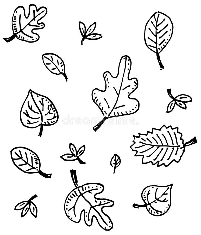 De Tekening Van Het De Herfstblad Vector Illustratie - Illustration of ...