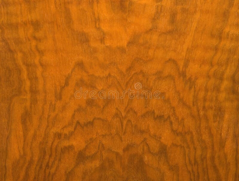 De textuur van de boom stock illustratie. Illustration of concept ...