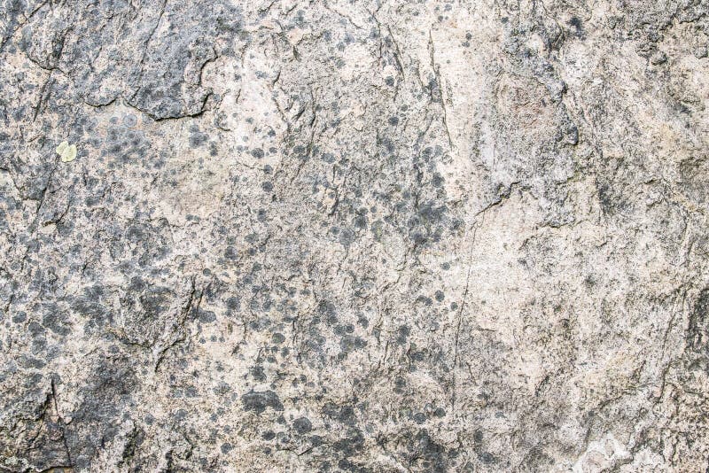 De textuur van de steen stock foto. Image of decor, materiaal - 58813402