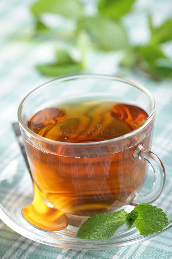 De thee van de munt stock afbeelding. Image of bereid - 19766483