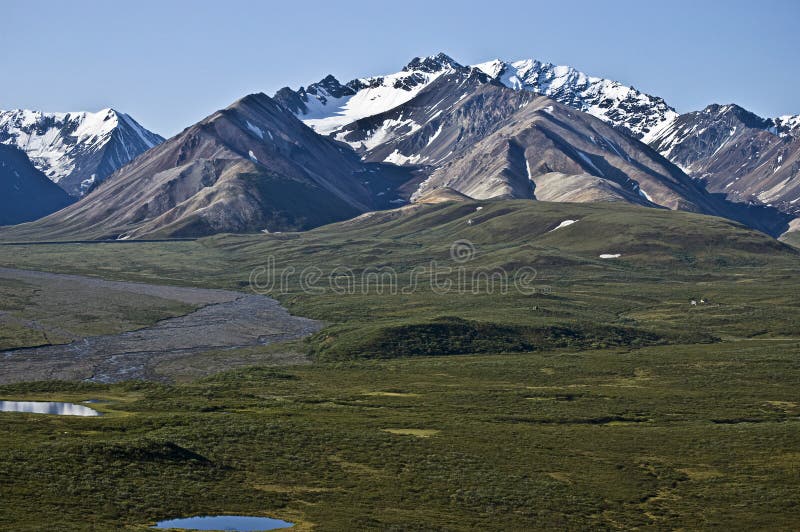 De Toendra van Denali stock afbeelding. Image of kleur - 10839353