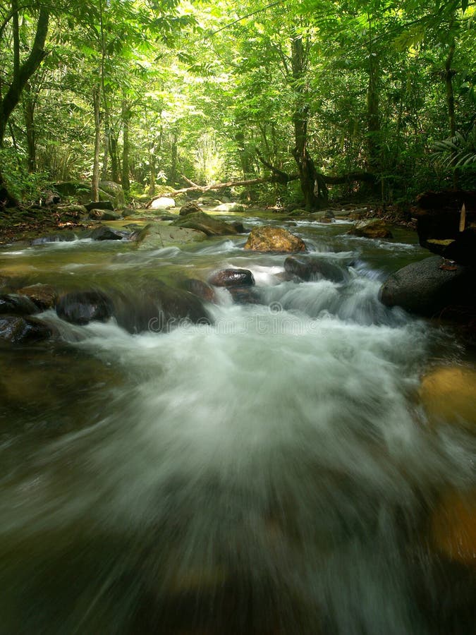 De Tropische Waterval Van De Berg Stock Foto - Image of schoonheid ...