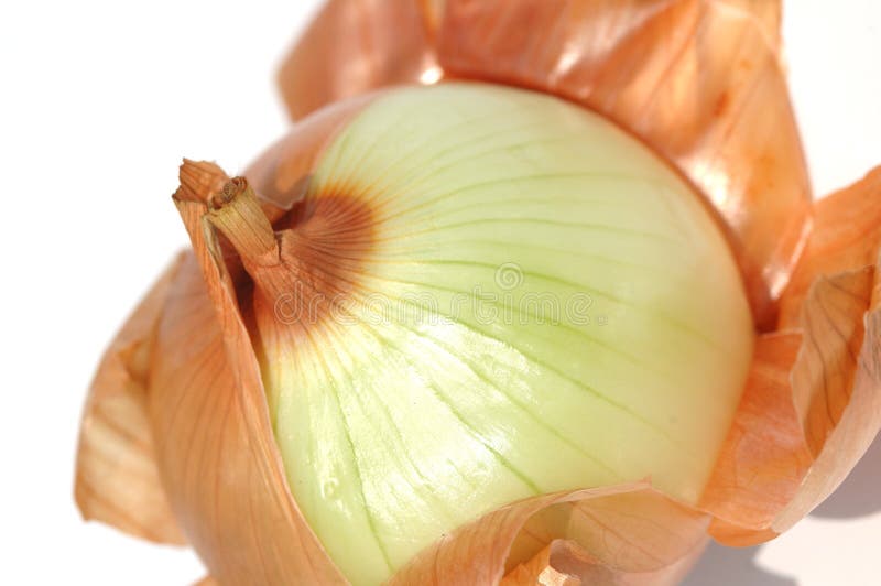 De Ui van de schil stock foto. Image of symbool, doorzichtig - 176134