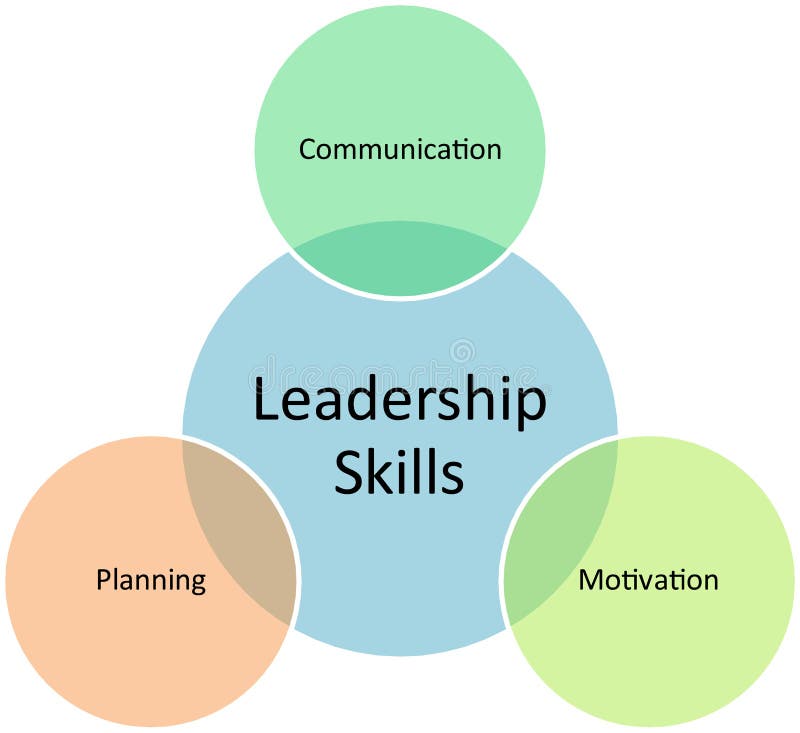 De Vaardigheden Van De Bedrijfs Leiding Diagram Stock Illustratie ...