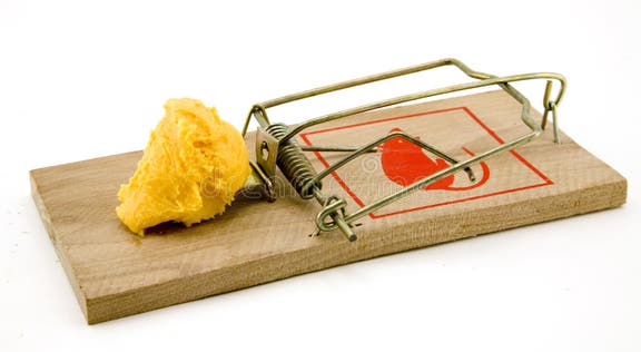 Muisval stock foto. Image of verstrik, lokmiddel, muis - 4127434