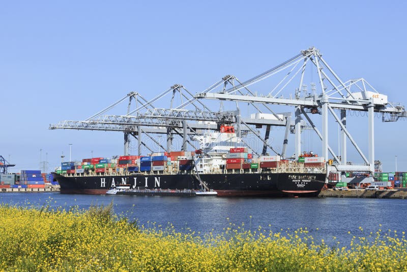 Containerschip Aangemeerd in De Haven Van Rotterdam Redactionele Stock ...