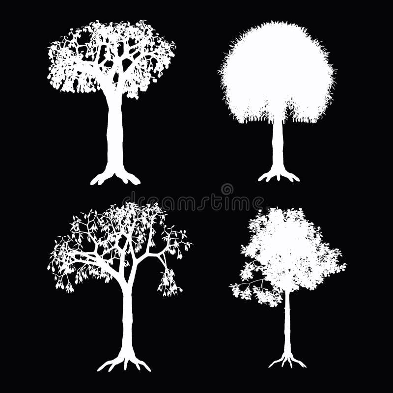 Boomschets : Met De Hand Getekende Architect Bomen. Schets ...