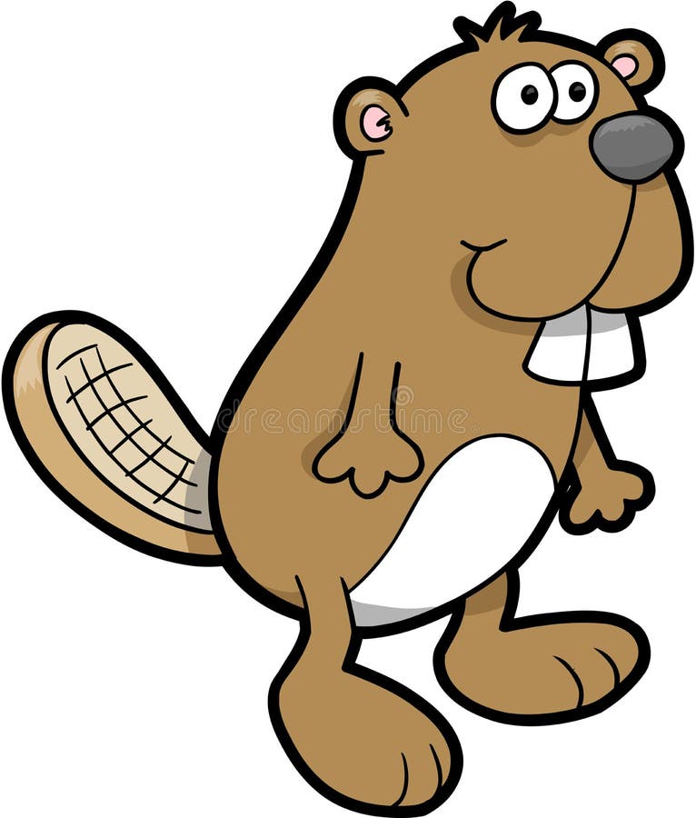 Vectorillustratie Van Een Bever Vector Illustratie - Illustration of ...