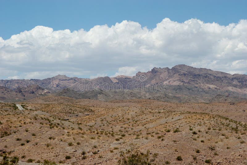 De Vegetatie Van De Woestijn Stock Afbeelding - Image of wolk, vakantie ...