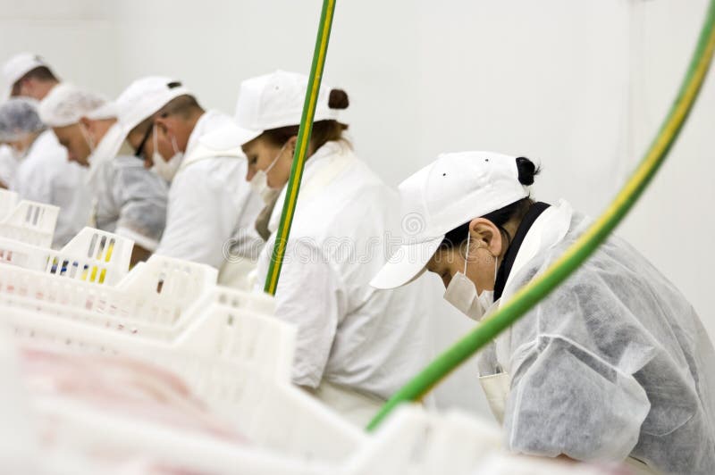 De Verwerkingslijn Van Het Voedsel Stock Foto - Image of verwerking ...