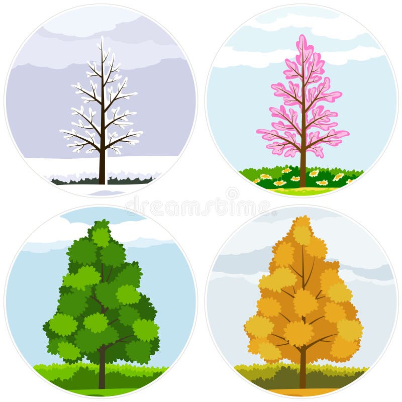 De Vier Seizoenen Van Een Boom Vector Illustratie - Illustration of ...