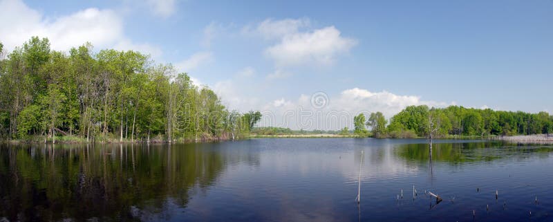 De Vijverpanorama Van Het Moeras Stock Foto - Image of vijver, wild ...