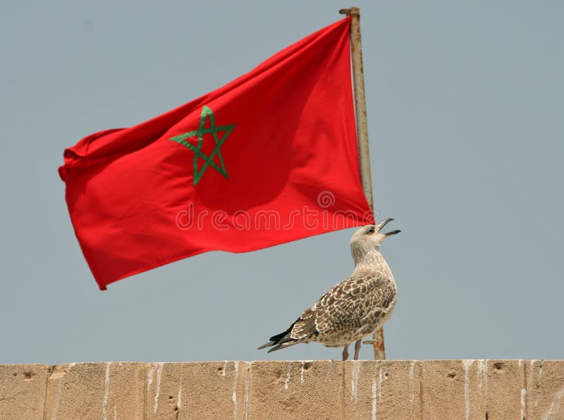 De vlag van Marokko stock afbeelding. Image of midden - 24789021