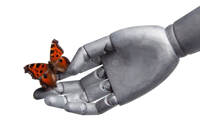 Vlinder op hand. stock foto. Image of seizoengebonden - 29594024