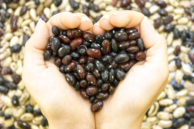 De Vorm Van Het Hart Van Rode Snijboon Stock Afbeelding - Image of hoop ...