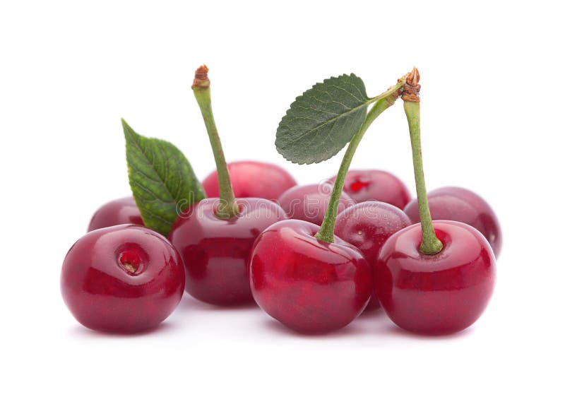 Kers stock afbeelding. Image of vers, verlof, vrucht - 42097605