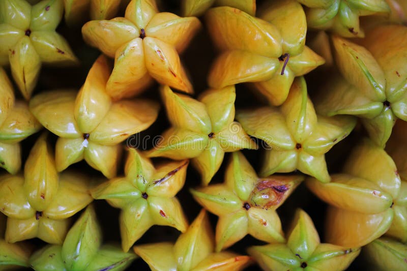 Stervruchten stock foto. Image of zetvrucht, voedsel - 17022208