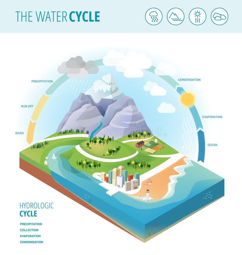 Het Diagram Van De Watercyclus Vector Illustratie - Illustration of ...