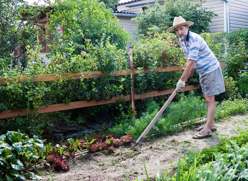 Het Mensenwerk In De Tuin Foto. Afbeelding: 5765927