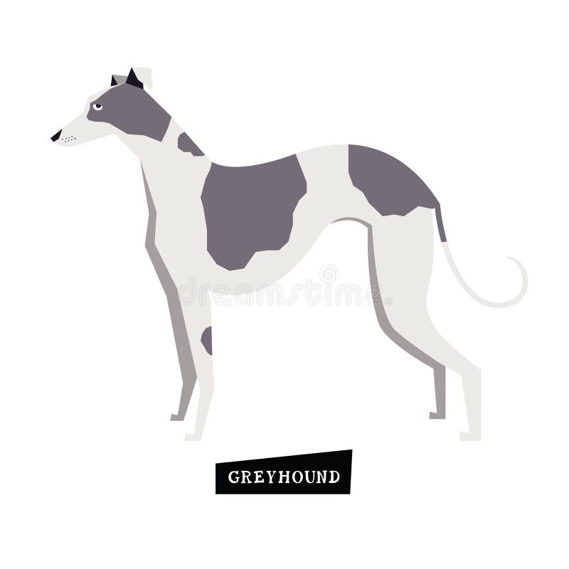 De Windhond Van De Hondinzameling Vector Illustratie - Illustration of ...