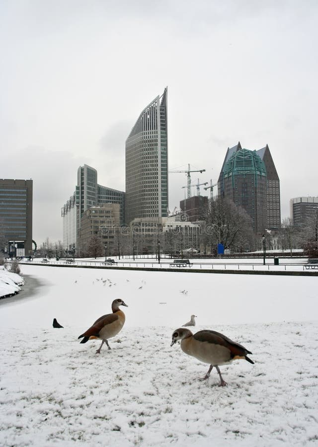 Den Haag in de Winter stock afbeelding. Image of gebouwen - 15808523