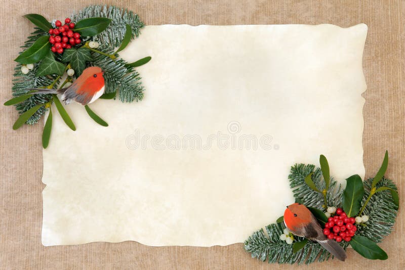 De Winterflora En Robin Border Stock Afbeelding - Image of fauna ...