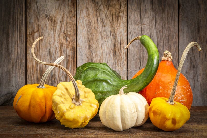 Sierpompoenen en pompoen stock afbeelding. Image of streep - 34196785
