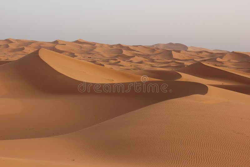 De Woestijn van de Sahara stock foto. Image of dageraad - 68449416