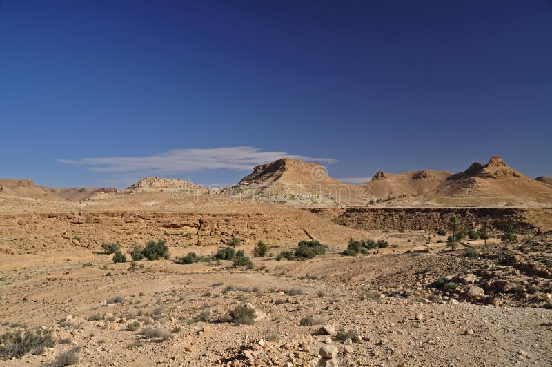 Het leven op de woestijn stock afbeelding. Image of vallei - 987707