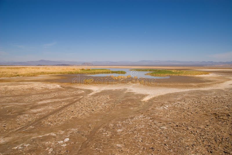 Zzyzx, Sodameer, Mojave-Woestijn Stock Foto - Image of frisdrank, gras ...