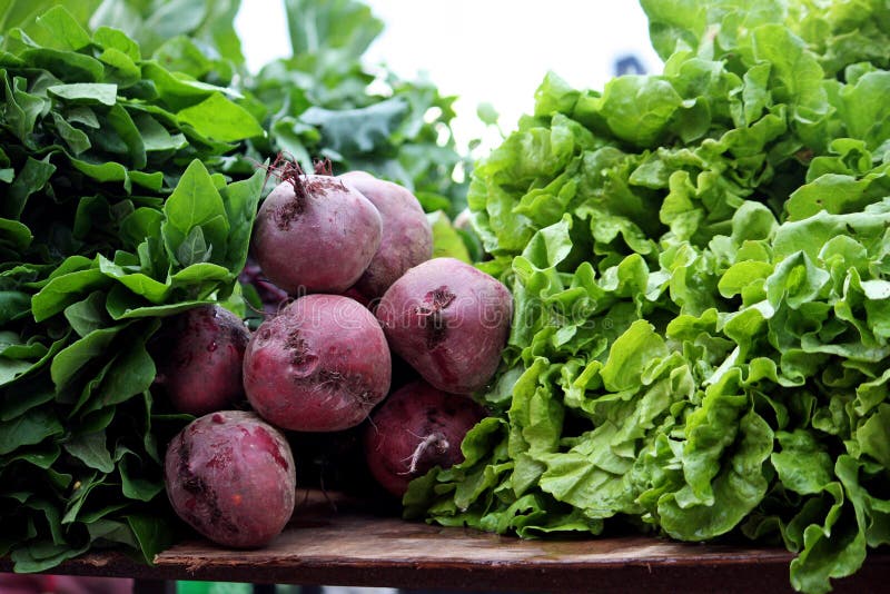 De Wortel En De Sla Van De Biet Stock Foto - Image of wortel ...