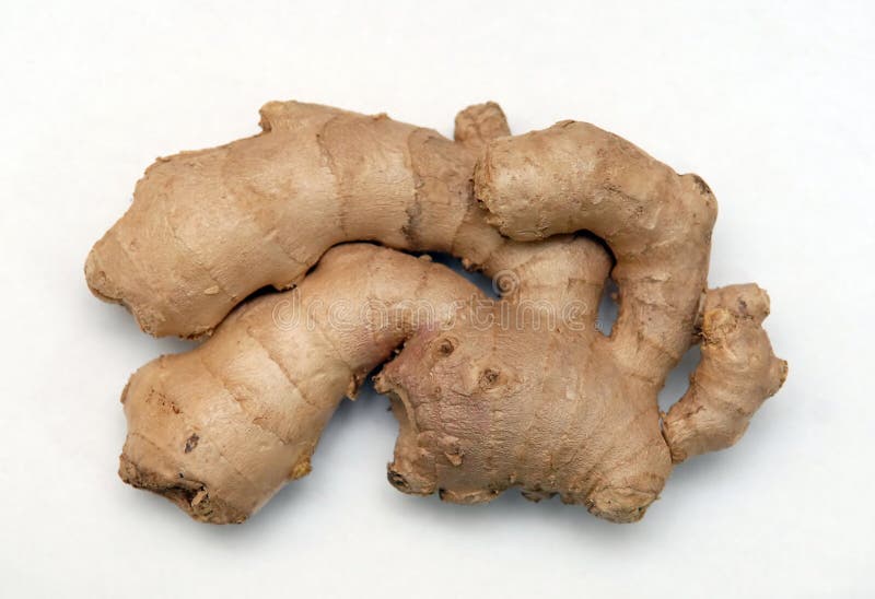 Gemberwortel stock afbeelding. Image of naughty, eetbaar - 8545935