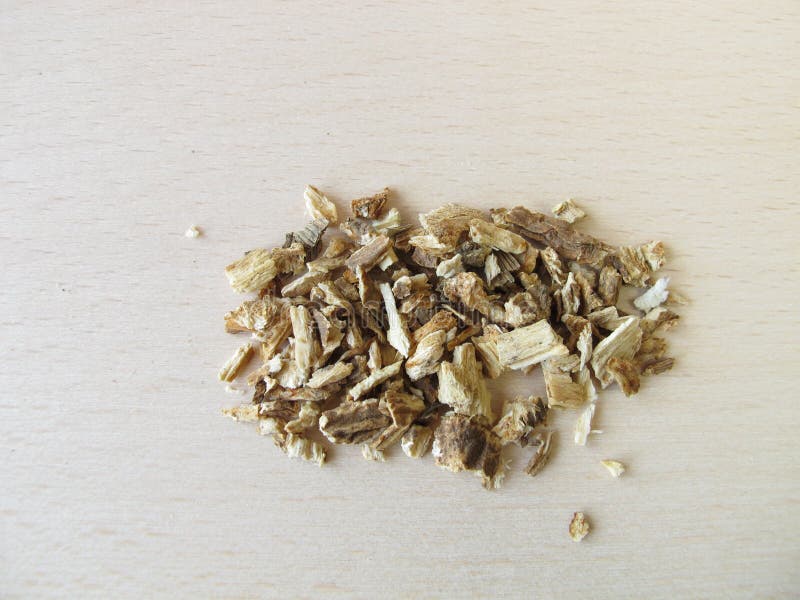 De Wortels Van De Lavas, Wortel Levistici Stock Afbeelding - Image of ...