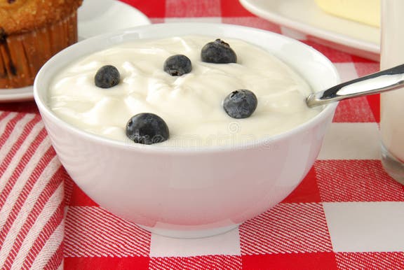 De Yoghurt En De Bosbessen Van De Vanille Stock Foto - Image of yoghurt ...